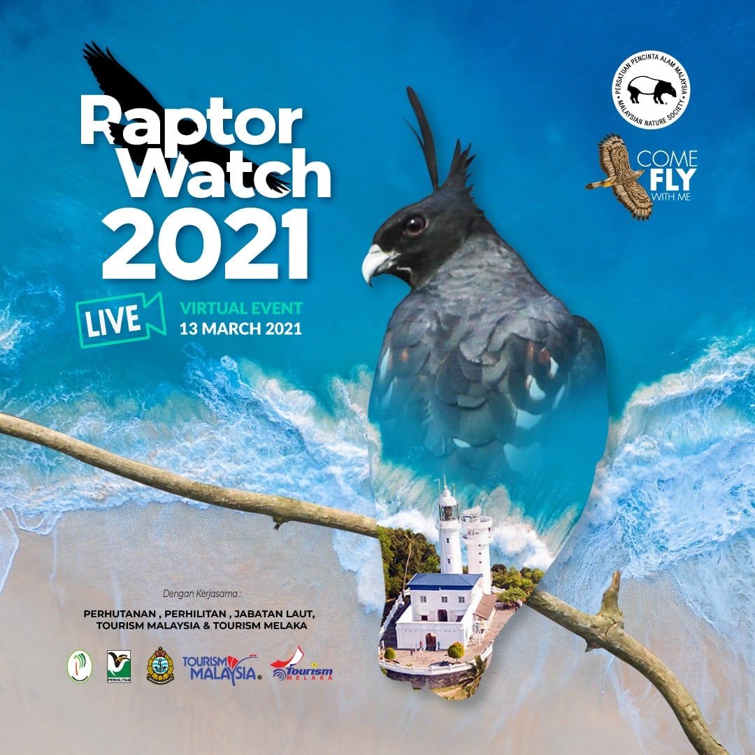 Raptor Watch (RW) 2021 - Whazhappening - Discover & Stay Updated on ...